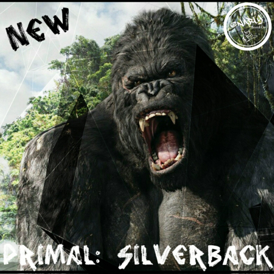 Beard Oil Pocket Rock It – Gnarly Beard Company